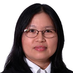 Research Fellow | Institute of Visual Informatics
