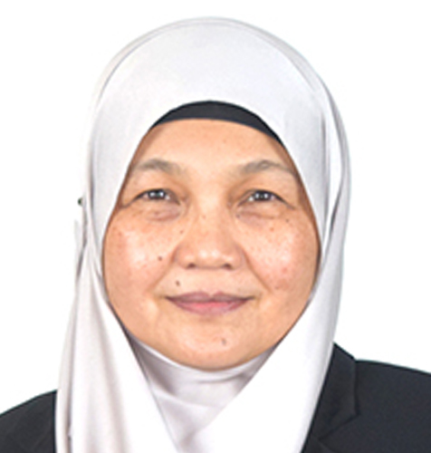 Previous-Present Directors | Institute of Visual Informatics